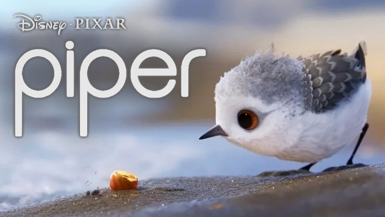 Piper: Η υπέροχη ταινία μικρού μήκους που μαθαίνει στα παιδιά να ...