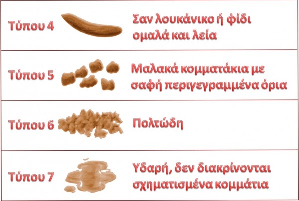 Τι να προσέξεις στα κακάκια του παιδιού | Infokids.com.cy