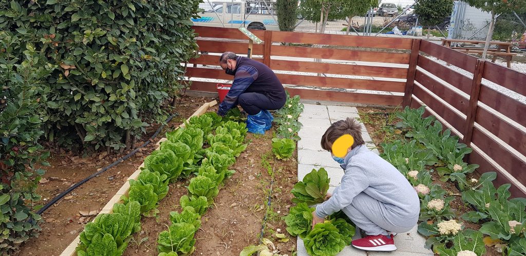 Μαθητές έφτιαξαν έναν φοβερό σχολικό λαχανόκηπο που... ξεπουλάει!